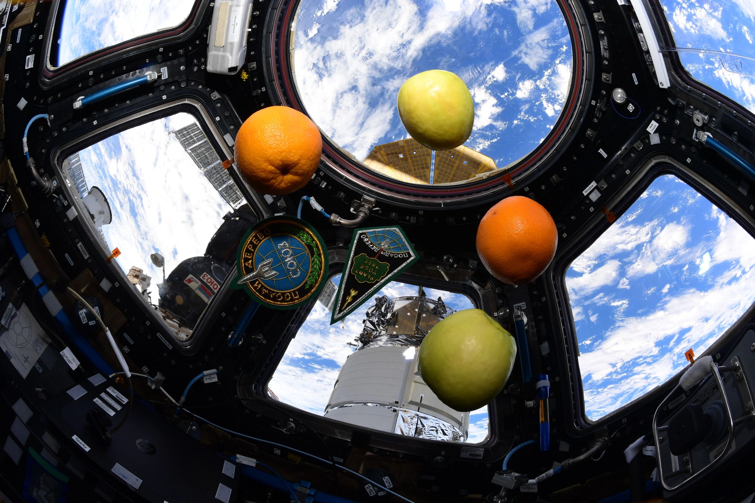 Fruits on Orbit