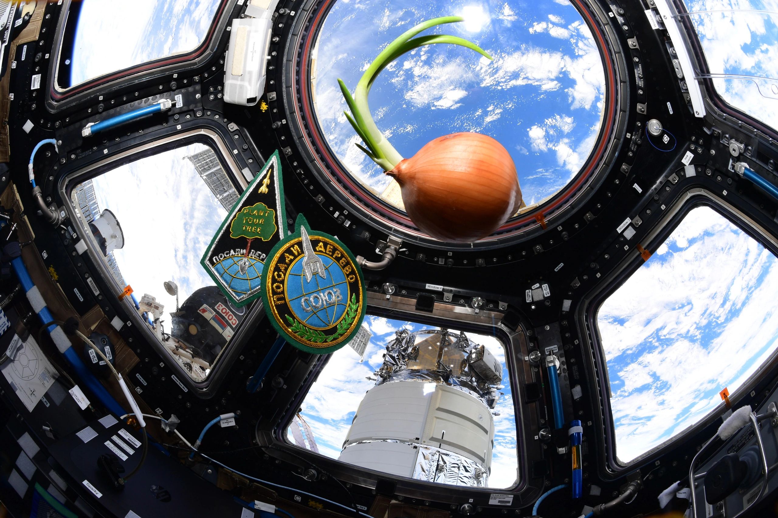 Onions in Space