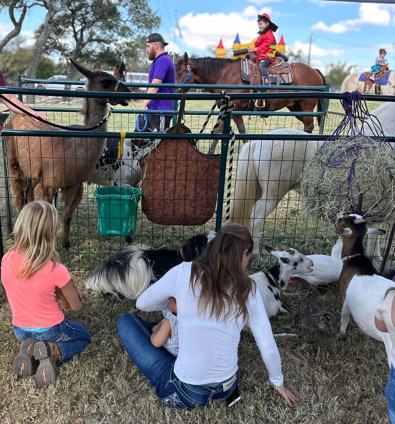 Giddy Up Pony Parties and Petting Zoos - Pony Rides, Petting Zoo