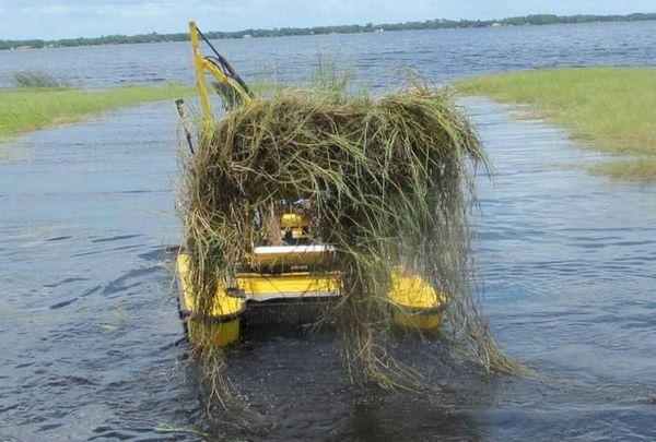 Lake Weed Removal - Waterways Restoration