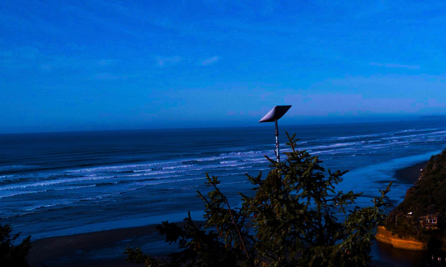 Starlink Tree Installs, StarlinkTree install, Cable Extensions