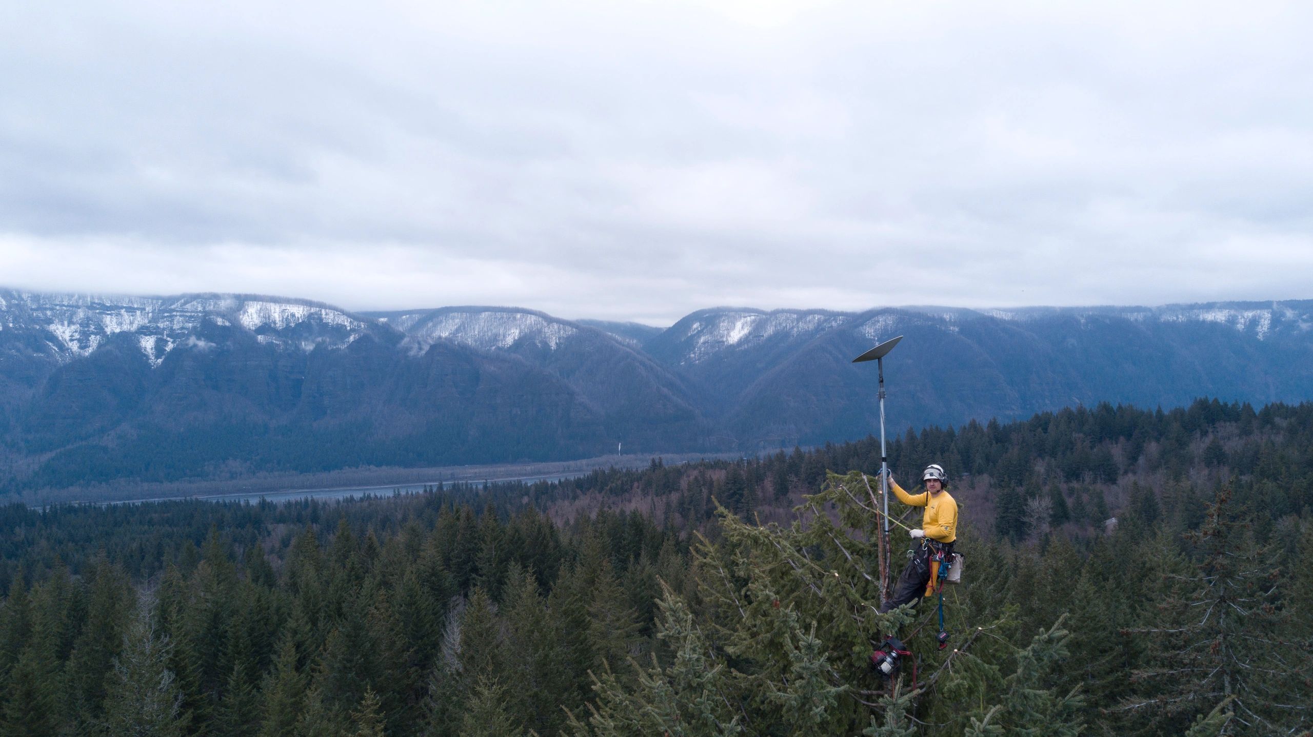 Starlink Tree Install