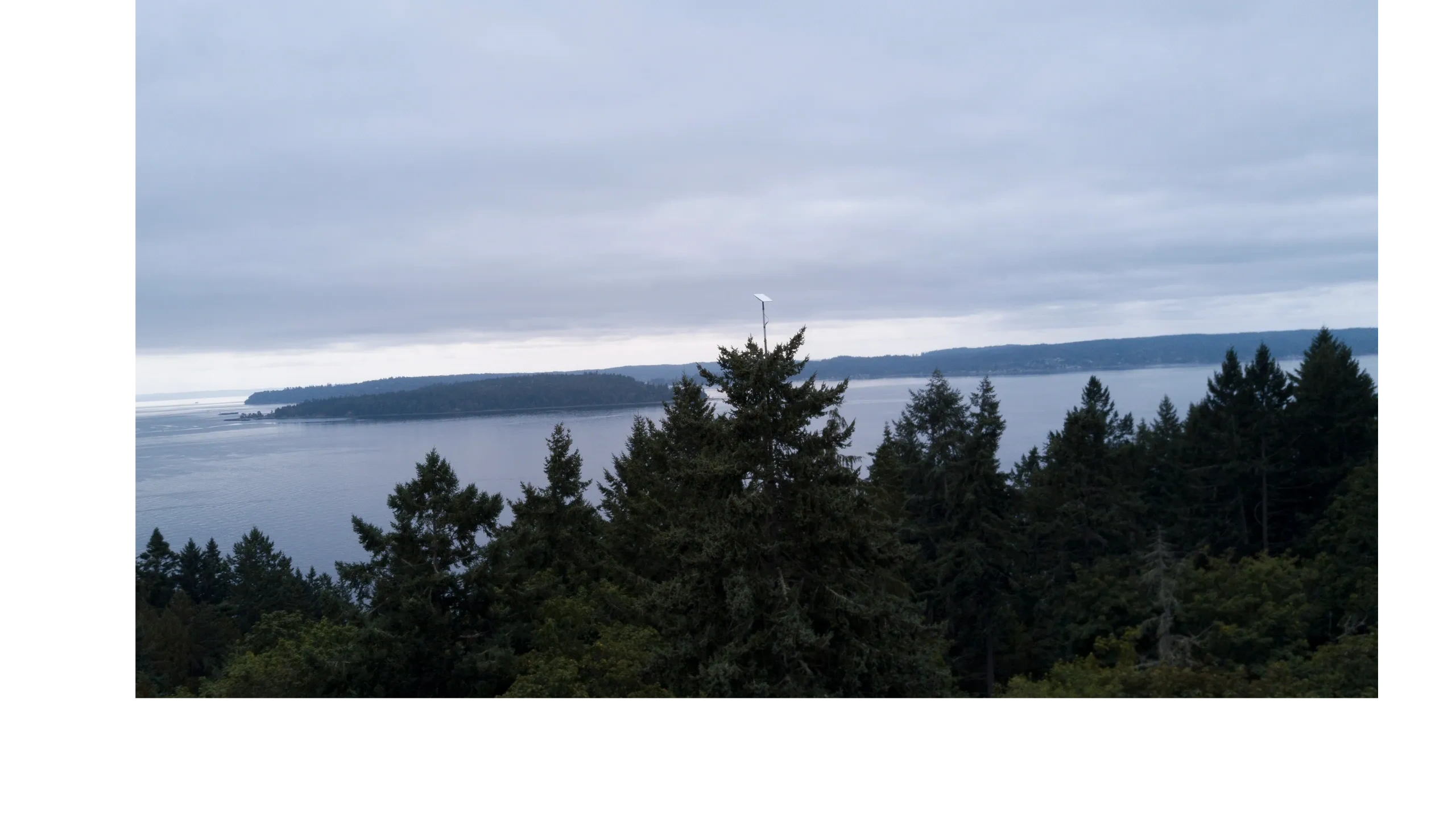 Starlink Tree Installs, StarlinkTree install, Cable Extensions