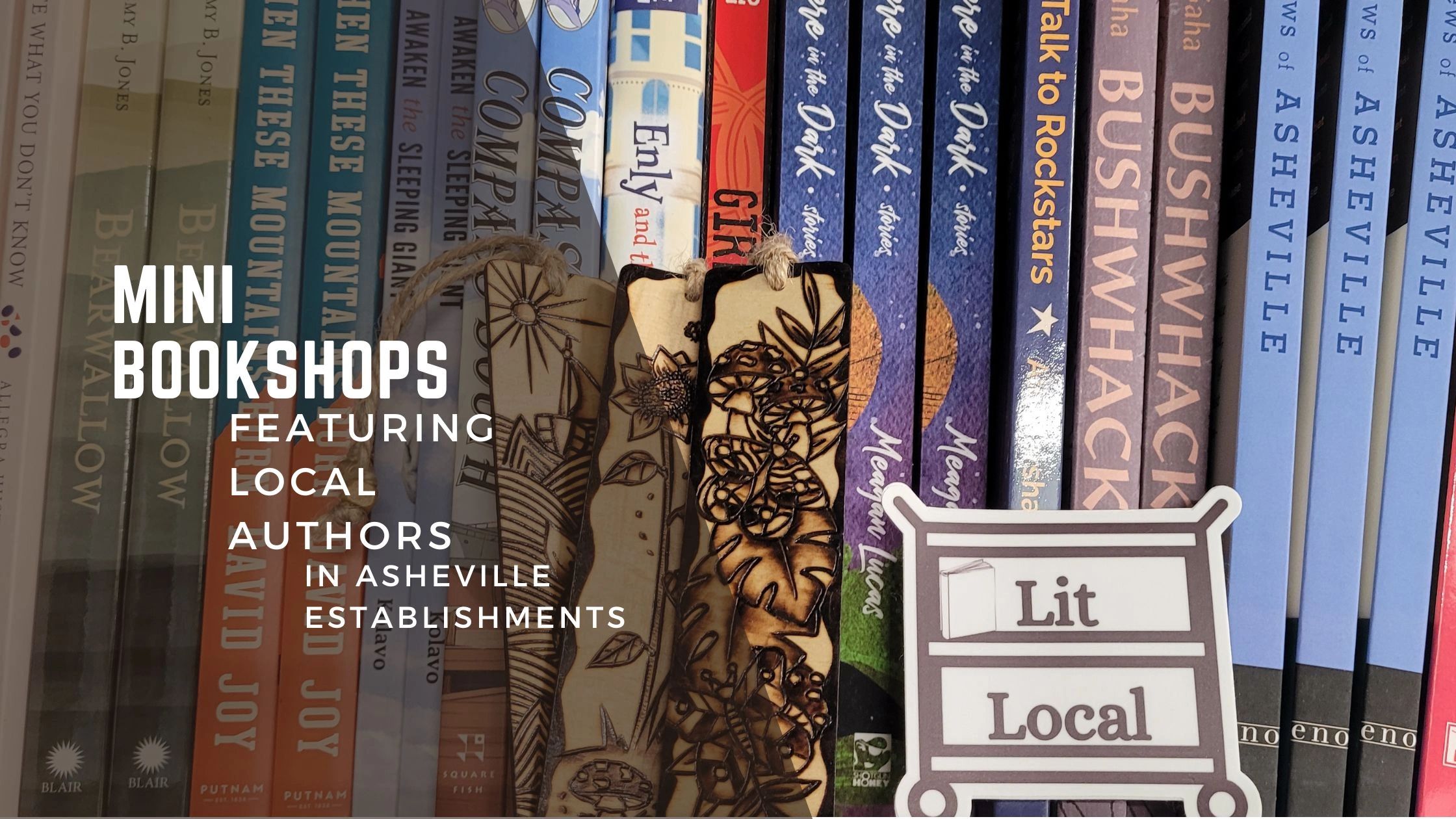 Discover Local Books at Lit Local Books