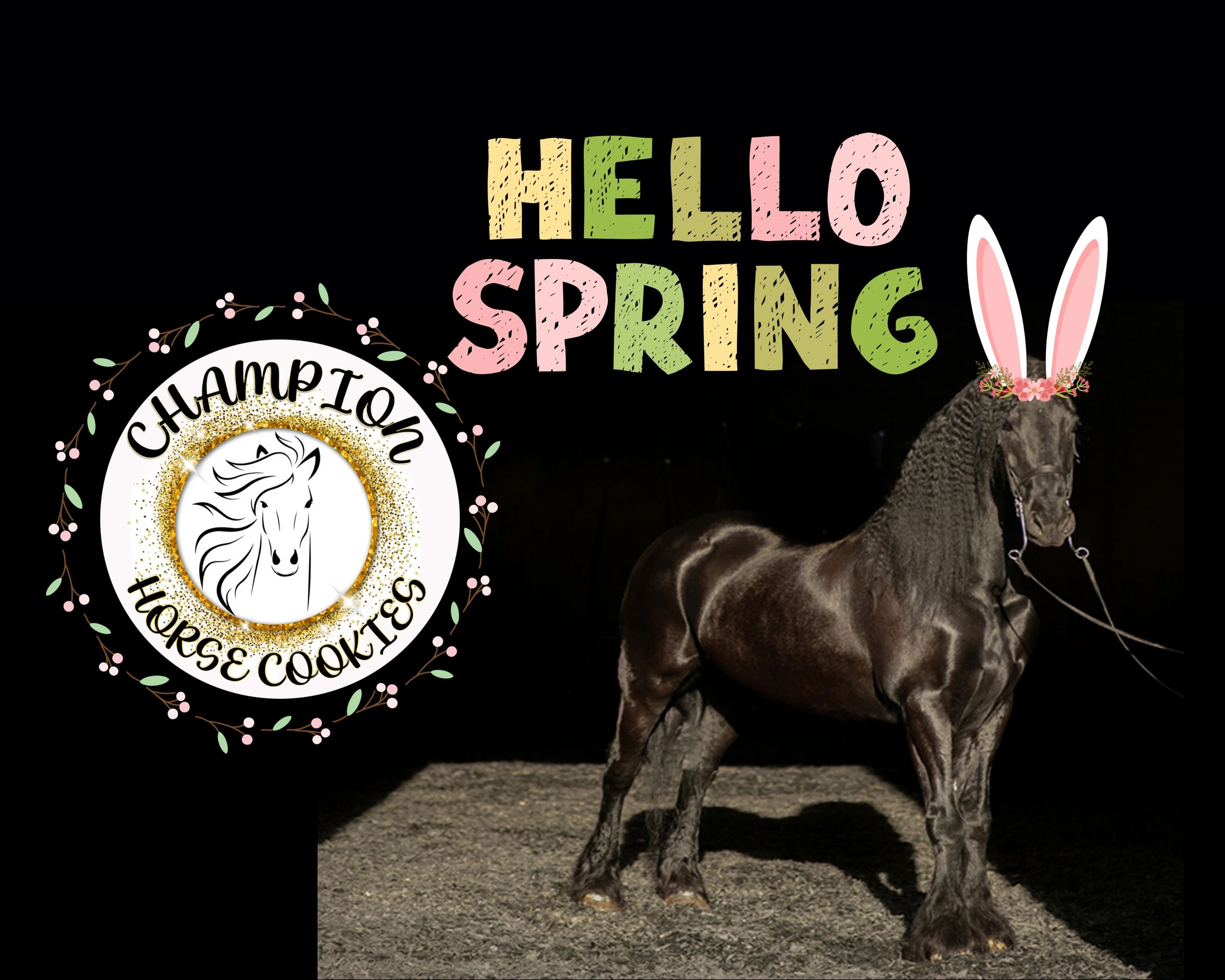 Champion Horse Cookies - Horse Cookies, Horse Treats