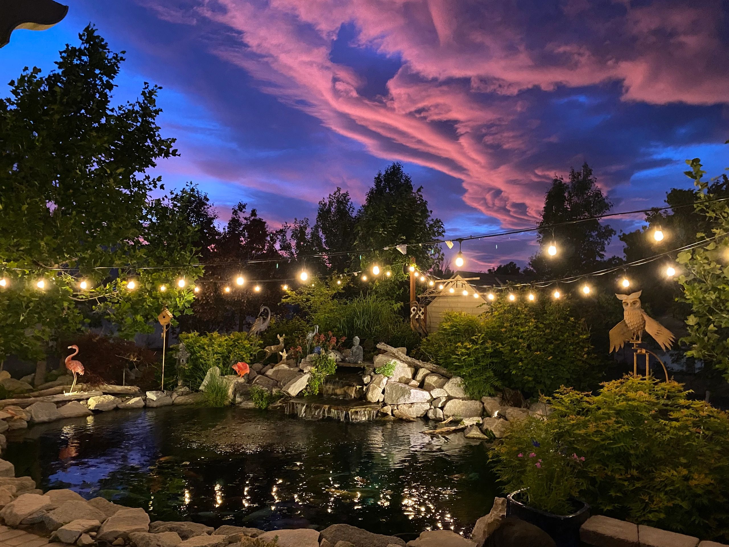 Pond Service - Swannsponds