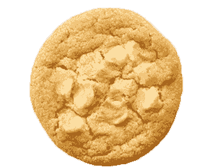 Cookies | Alibi Cookies