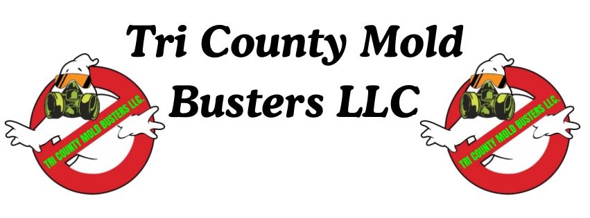Tri County Mold Busters LLC - Mold Busters, Client Reviews, Customer ...