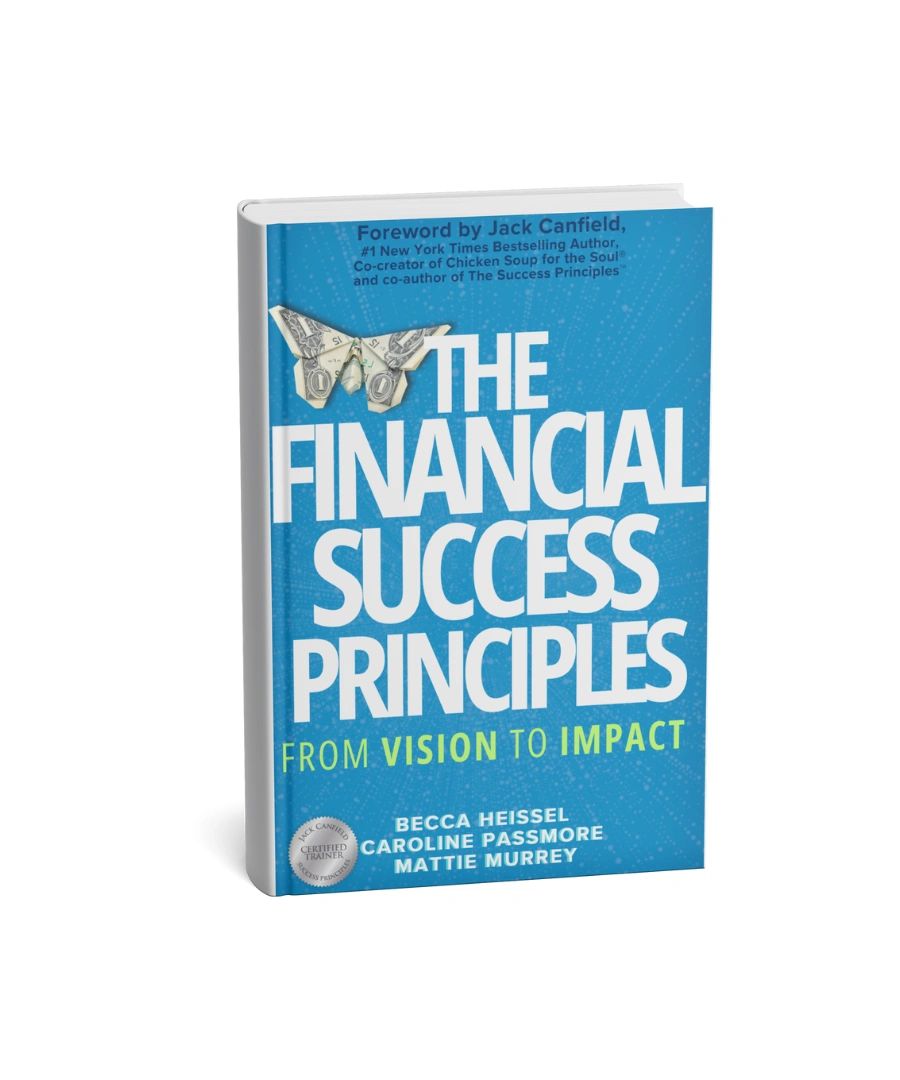 The Financial Success Principles; From Vision to Impact