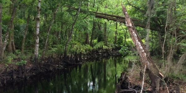 Camp Mars - Gay Campground, Florida Gay Camping | Camp Mars