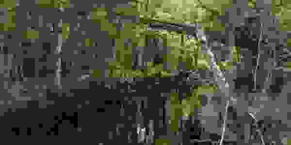 Camp Mars - Gay Campground, Florida Gay Camping | Camp Mars