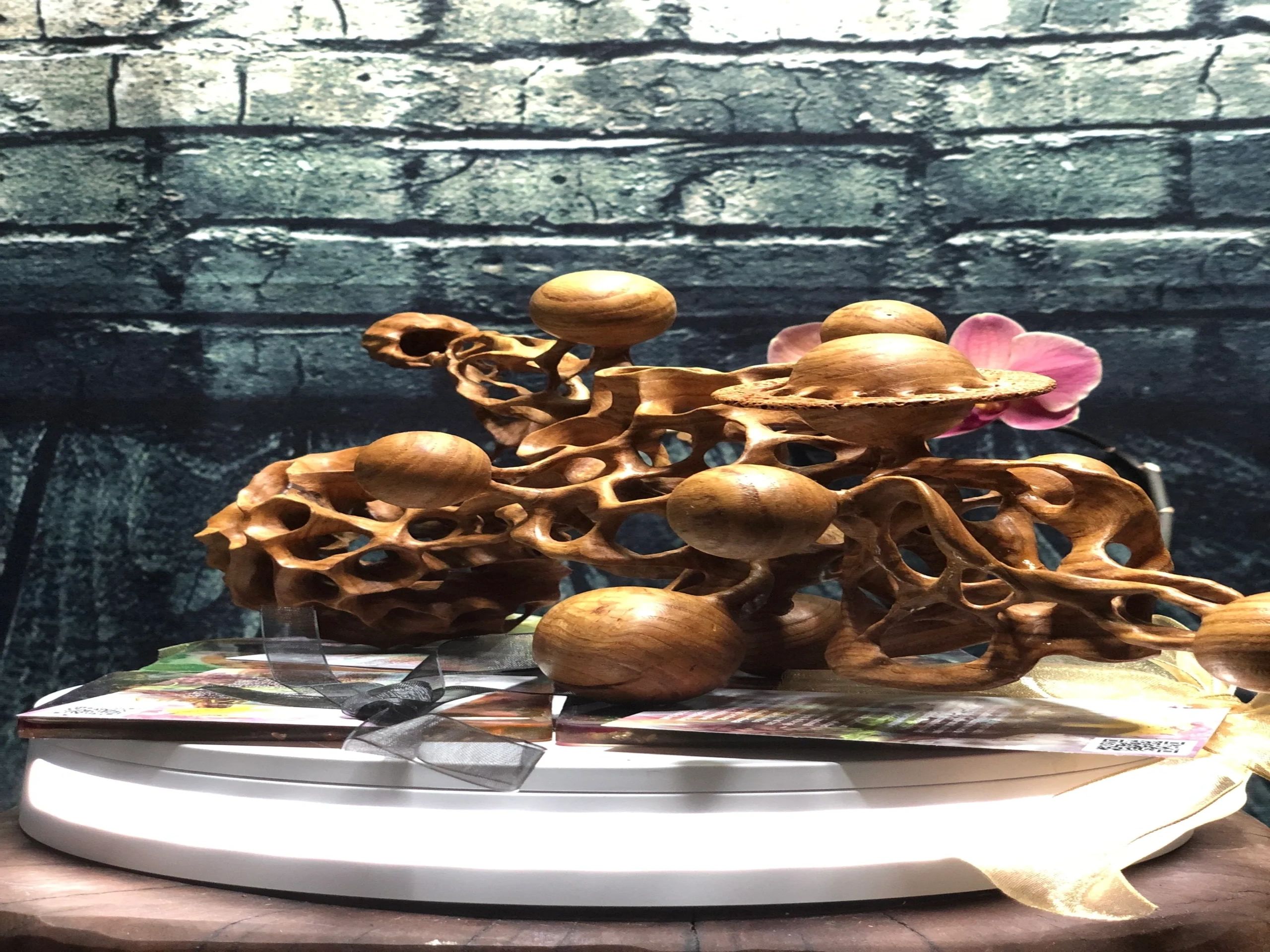 ARBOR BARBA - Tree Cutting Service, Tree Stump Removal, Hedge Trimmer