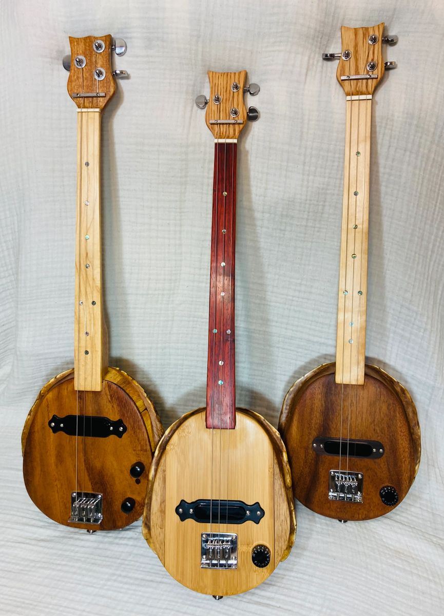 Turtle Shell Electric Slide Guitar