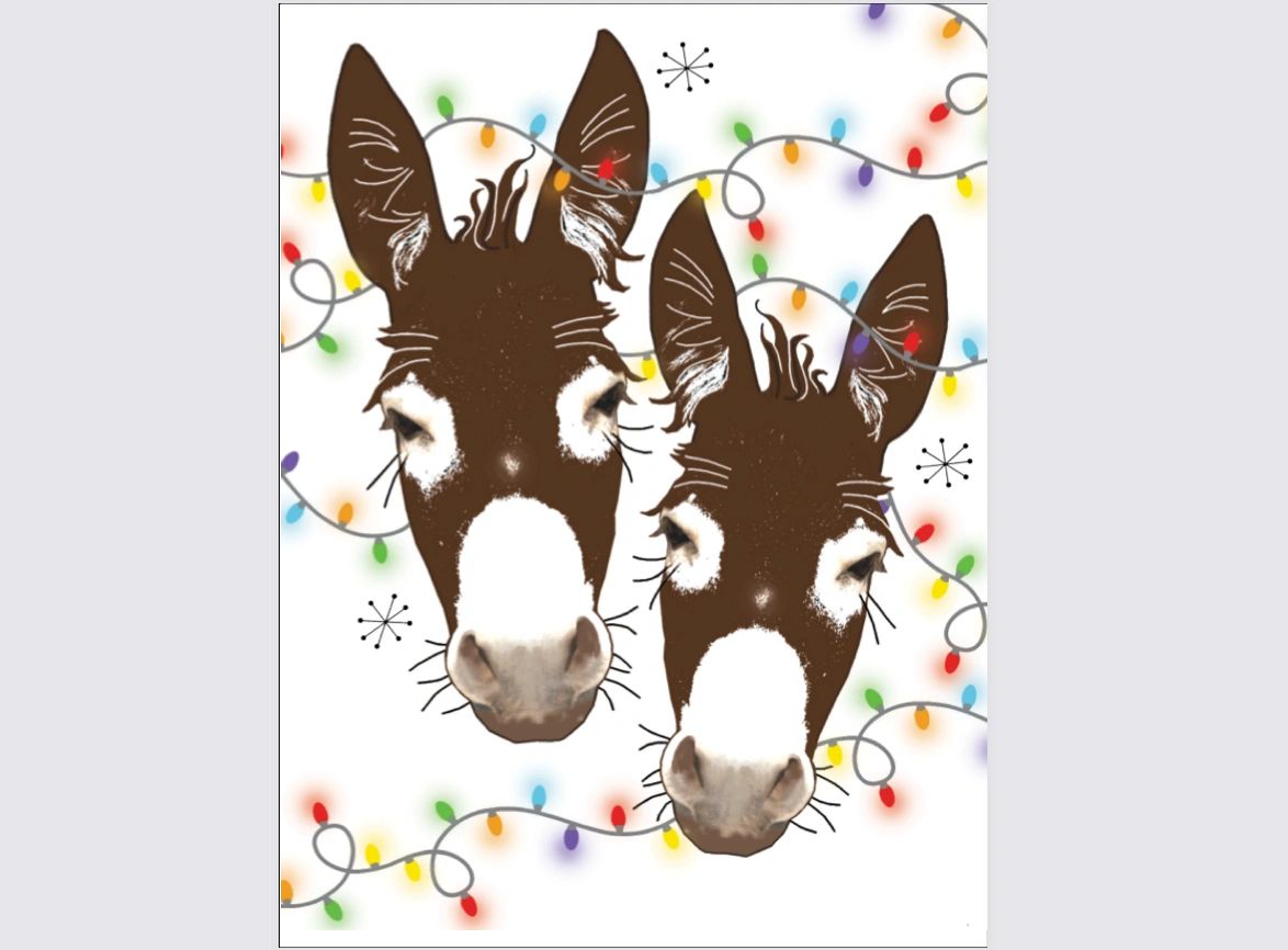 NEW Christmas Card: Donkeys with Christmas Lights