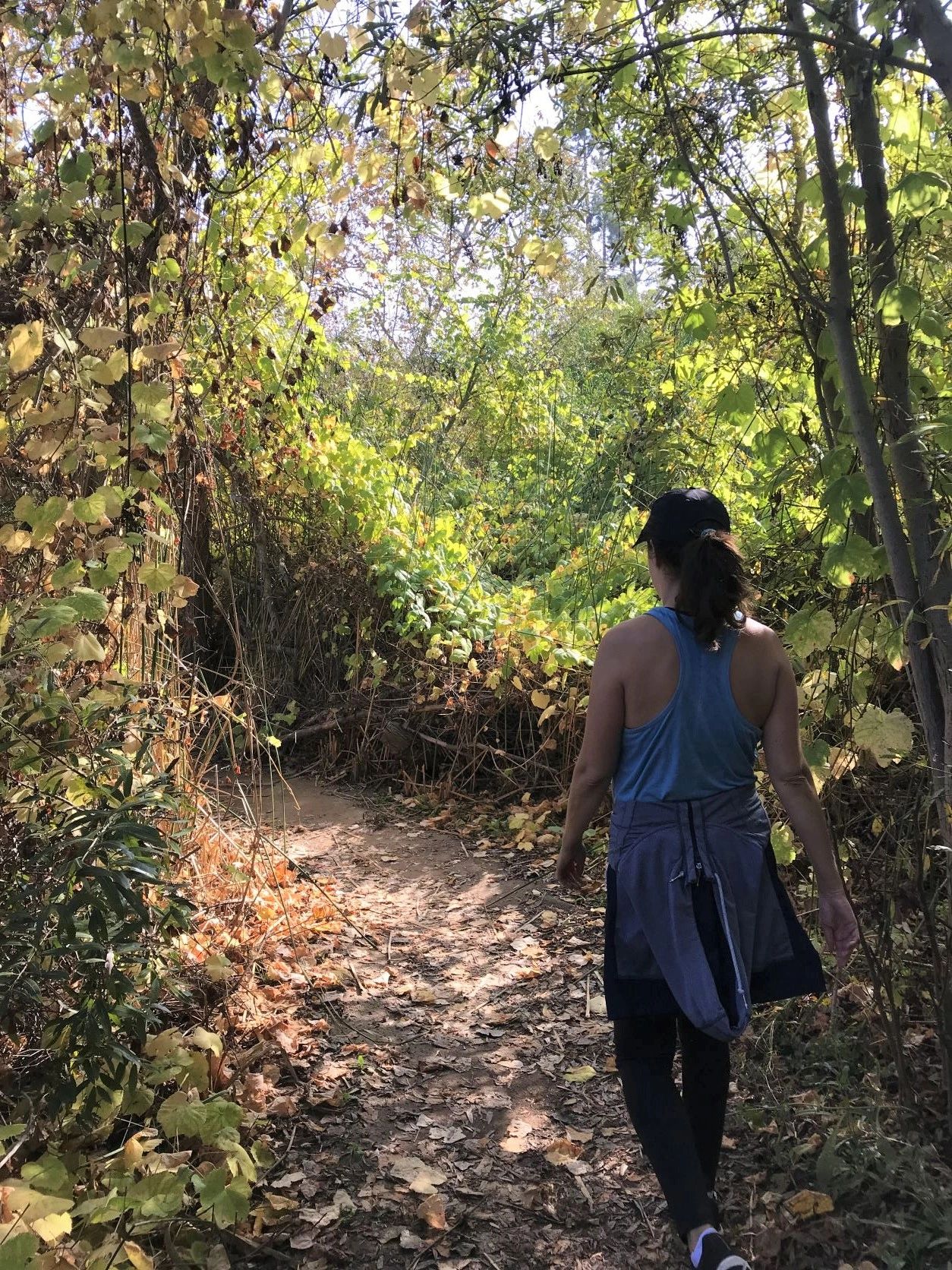 Ten Places to Hike and Walk Near Encinitas, California