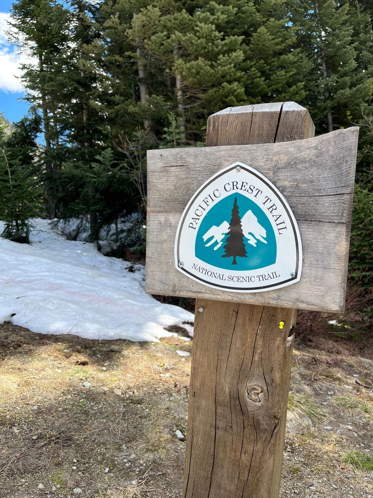 Section hiking the PCT! Goal: thru hiking the Pacific Crest Trail