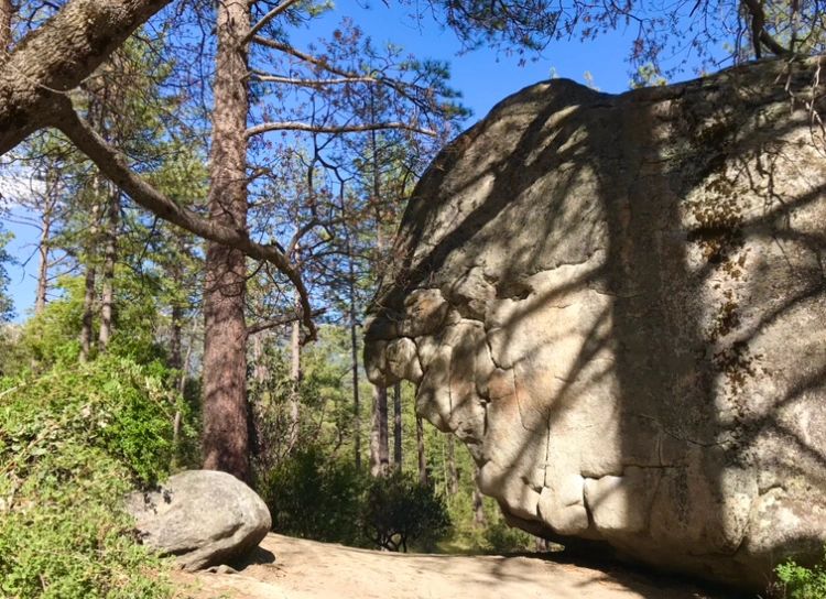 Summit Trail, Idyllwild Regional Park, California