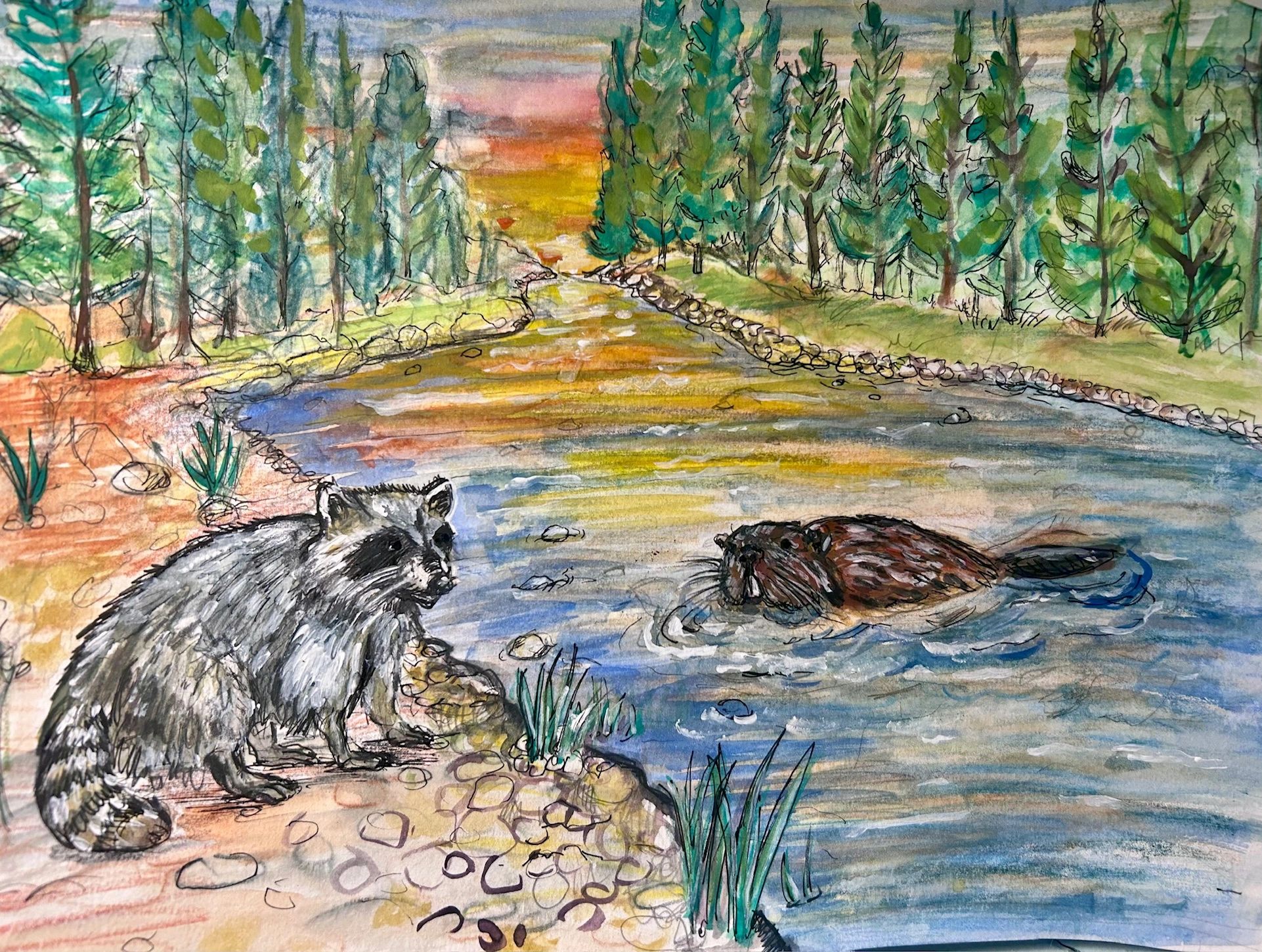 Raccoon and Beaver