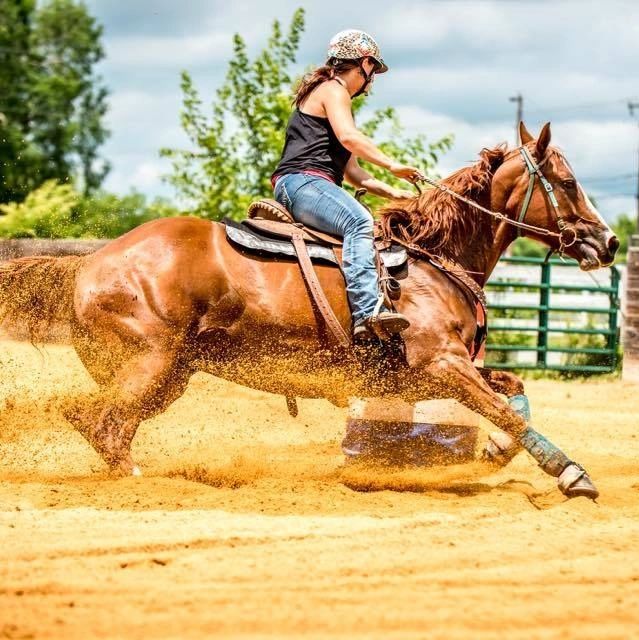 Horseback Riding Lessons in Raphine - JM Equine LLC