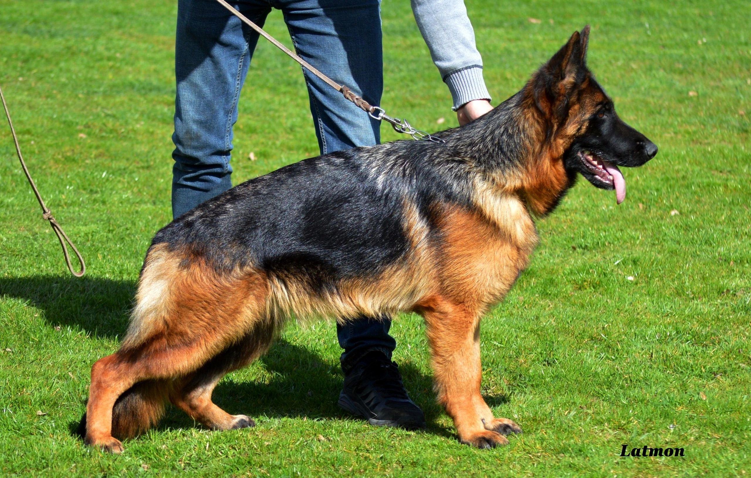 Stella Latmon in IGP trial