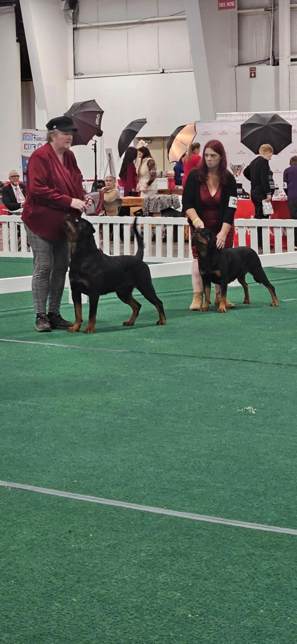 Reimer's Reg'd Rottweilers, Von ReimersWray