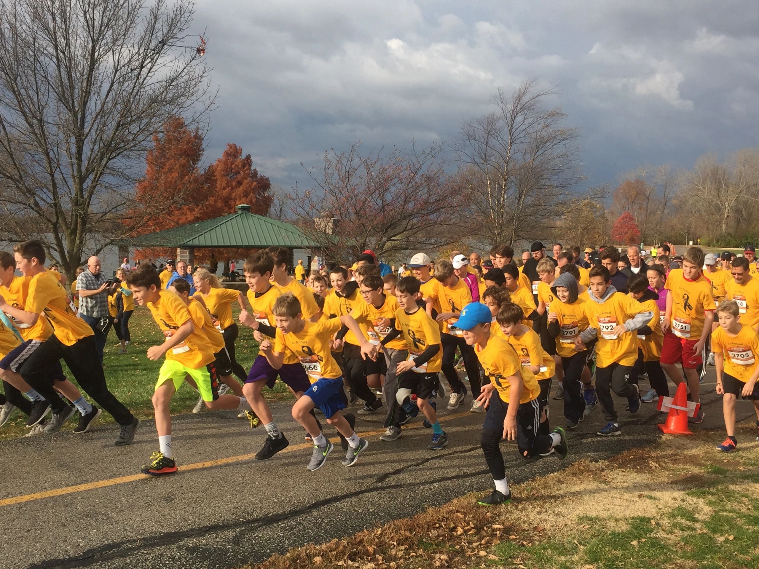 Knockout ALD | Knockout ALD