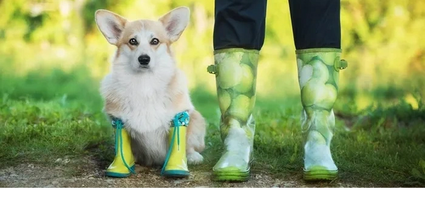 Pinckard Landscape Services, LLC - Landscape Design, French Drains