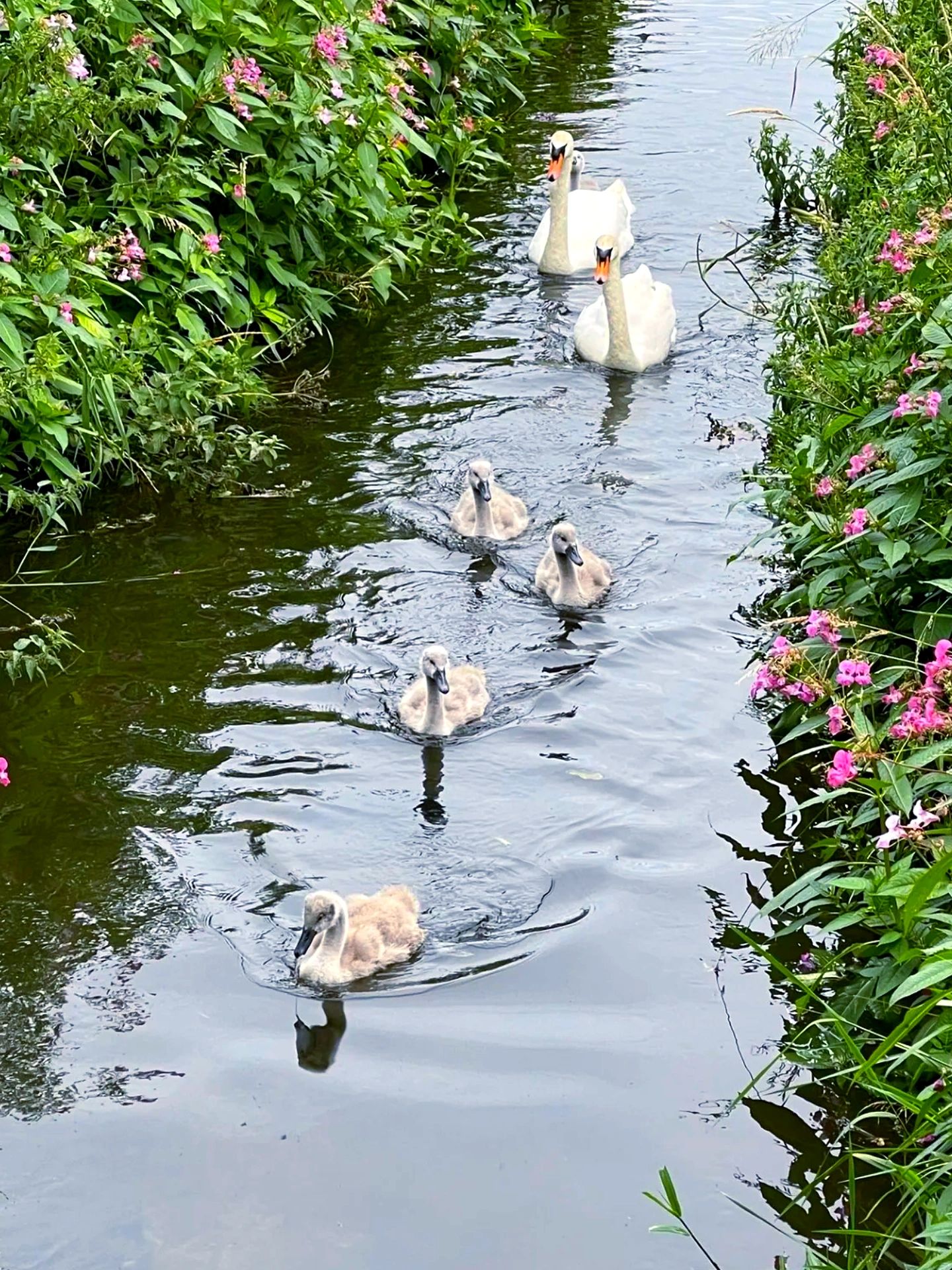 About Us | Rolleston Village