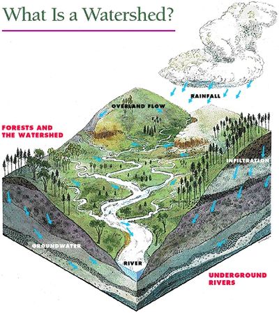 Support WAY's Mission of Clean Water, Healthy Watersheds!