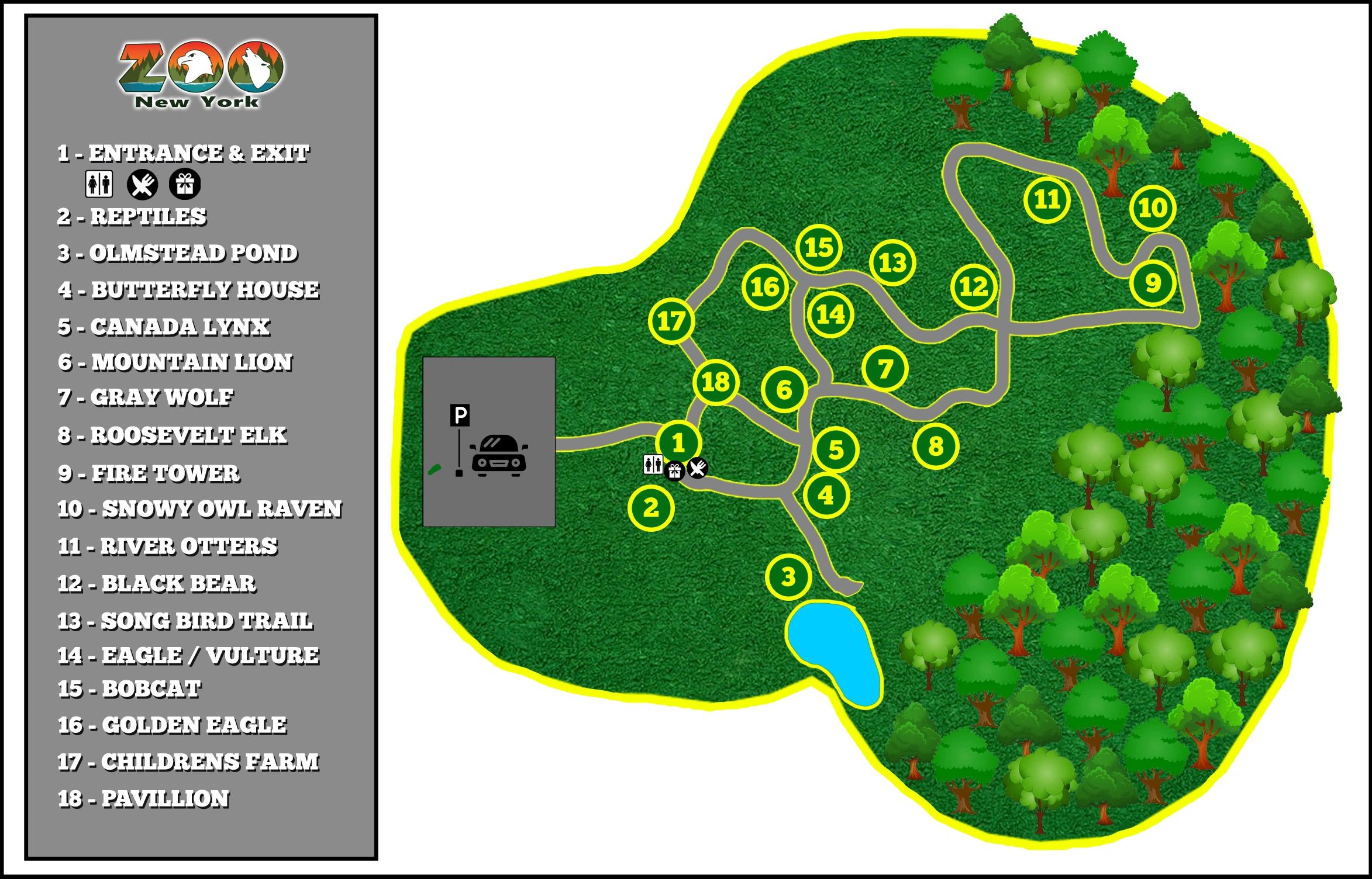 Plan a Trip To the Zoo
