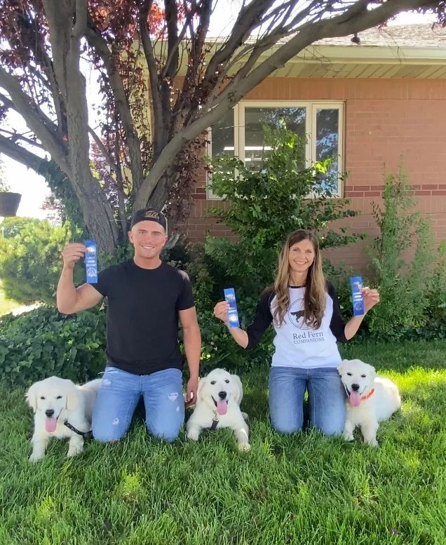 A Guide to Passing the AKC Canine Good Citizen Test