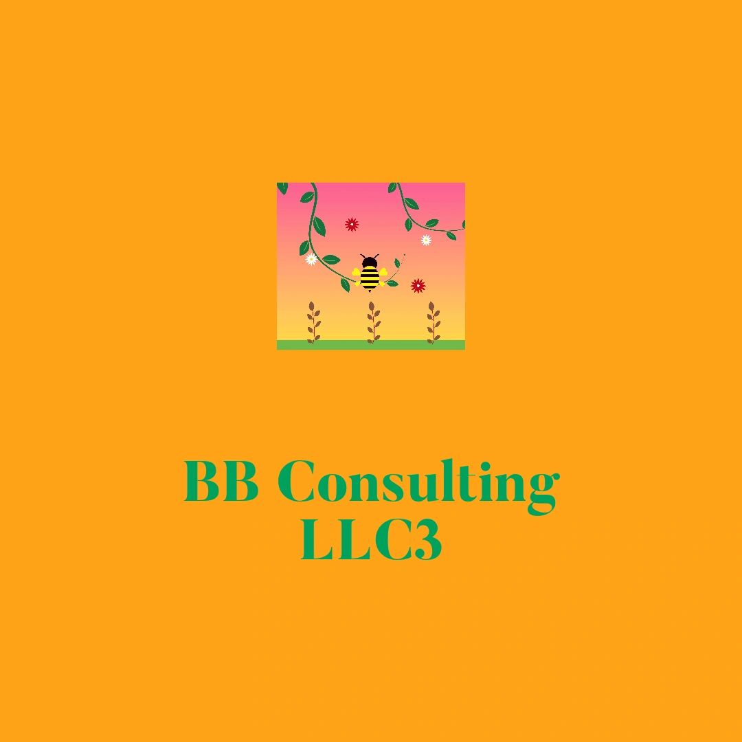 BB Consulting LLC3