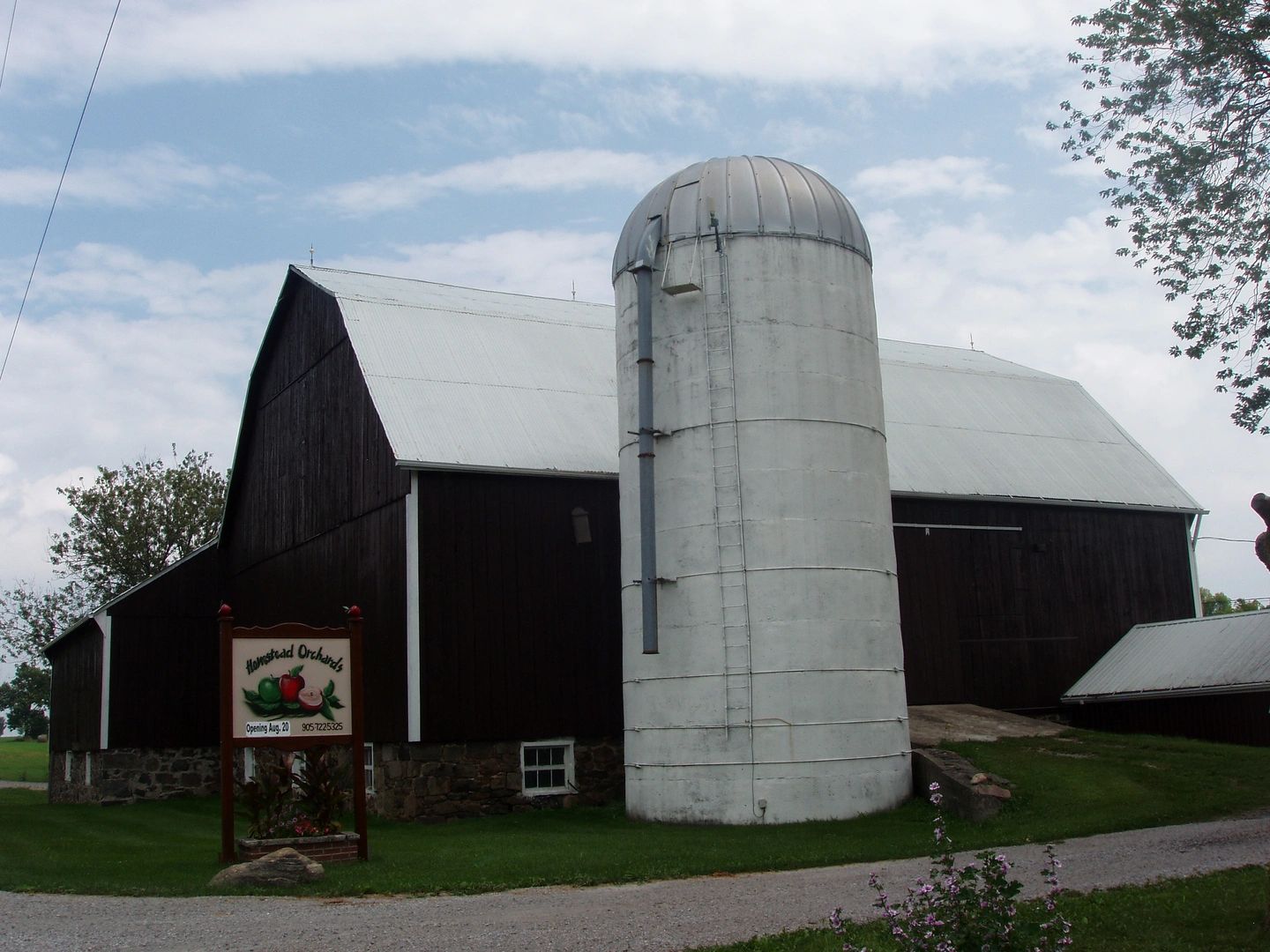 Homestead Orchard