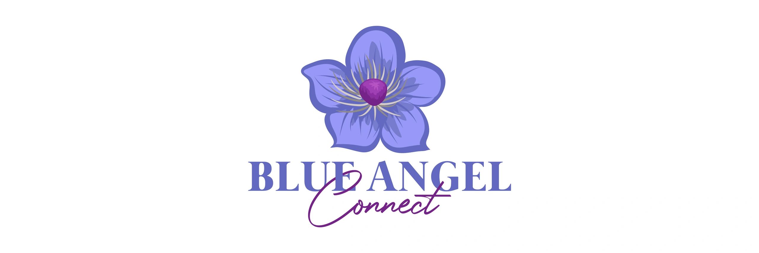 Non Profit Organization - Blue Angel Connect
