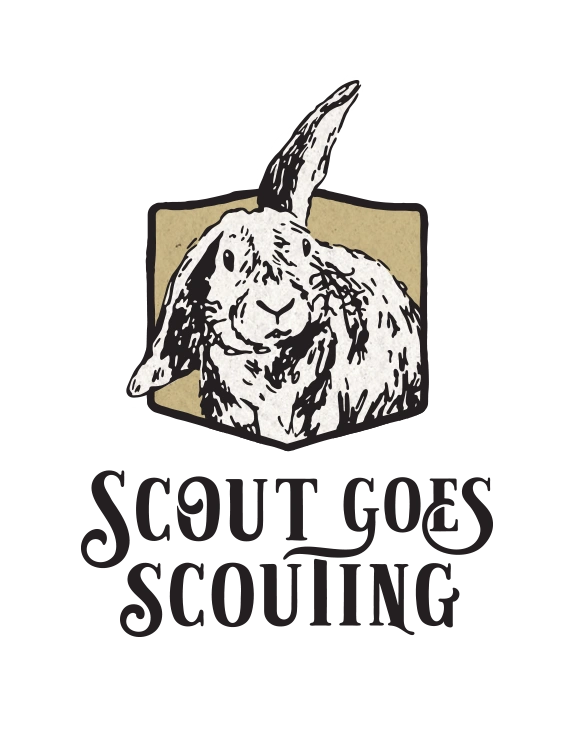 Interview + Recipe: (For Scout Goes Scouting Blog)