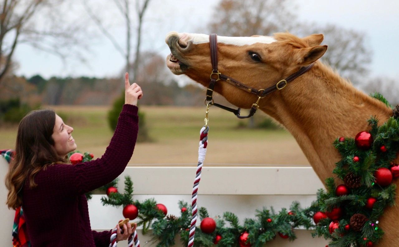 Sunset Stables Boarding