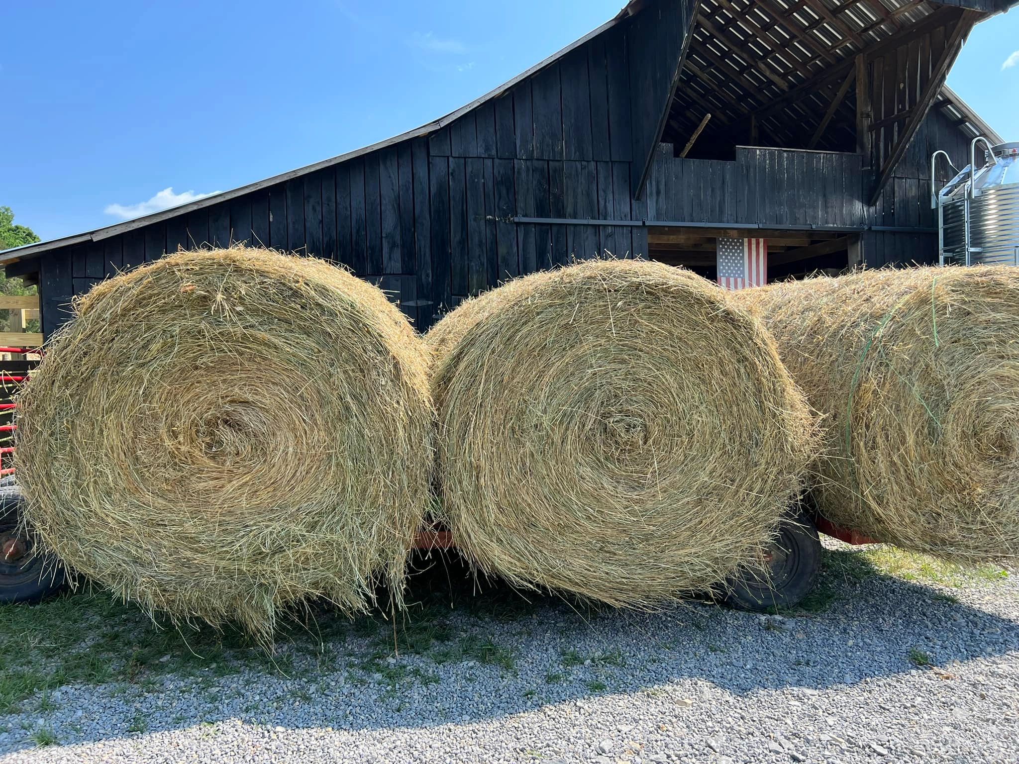 Hay and Pasture with Crops2Cattle Slow Release Liquid Fertilizer
