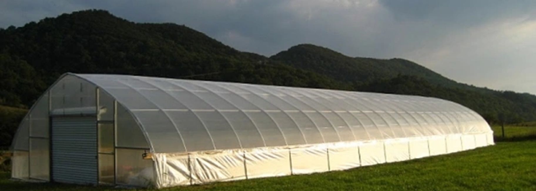 High Tunnel | Puckett Greenhouses
