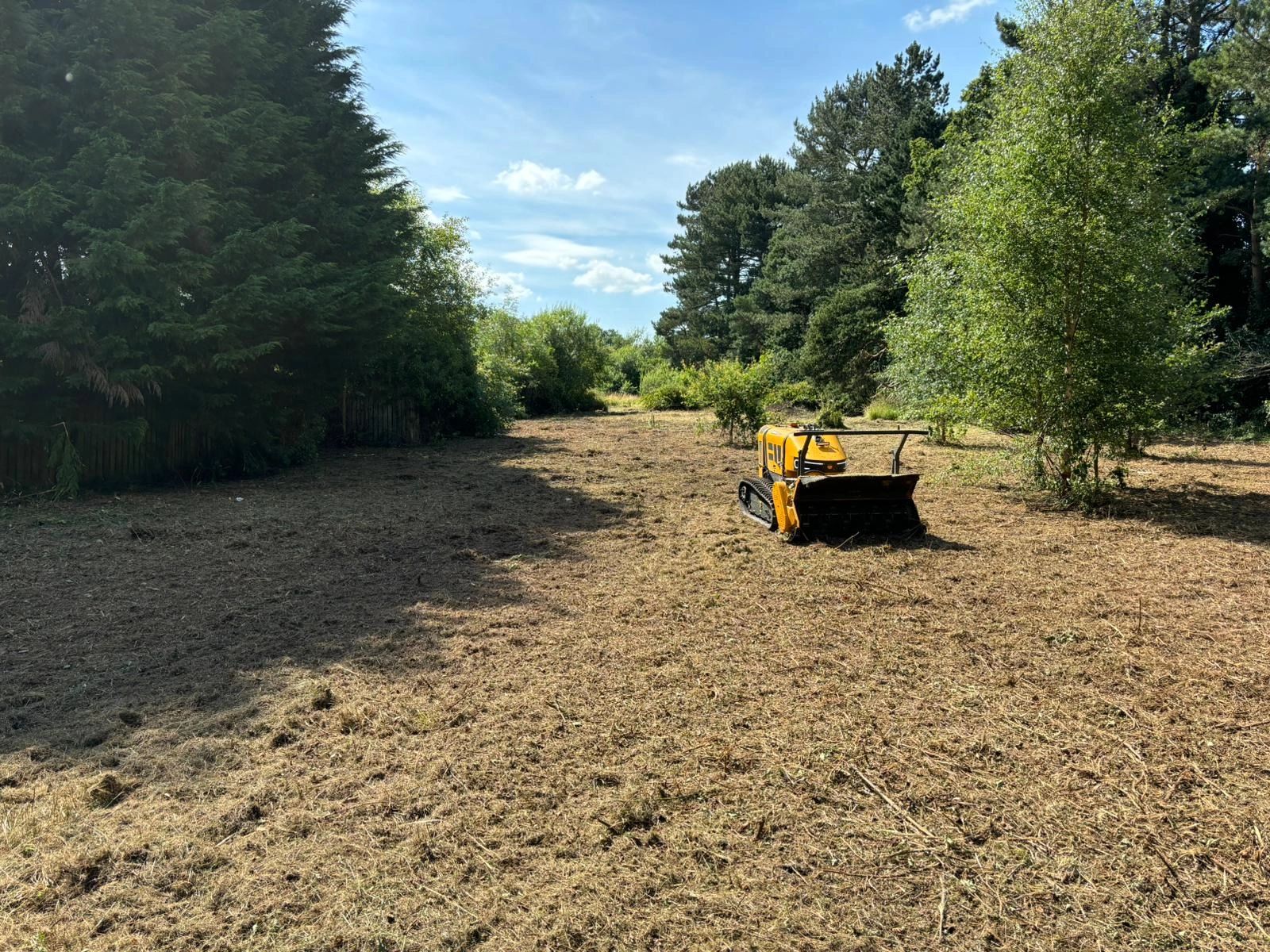 Expert Land Maintenance Services for Your Property