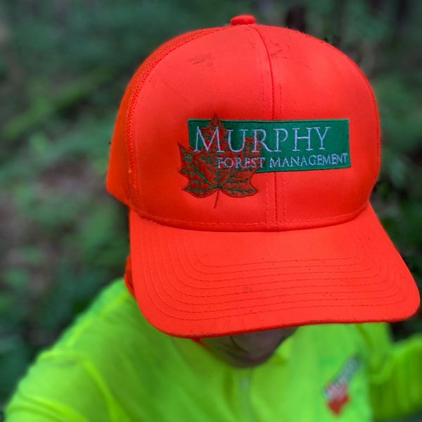 Professional Foresters | Murphy Forest Management
