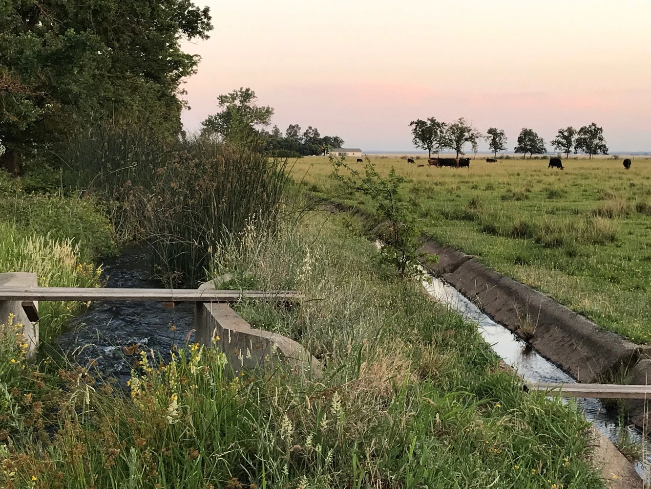 Deer Creek Irrigation District