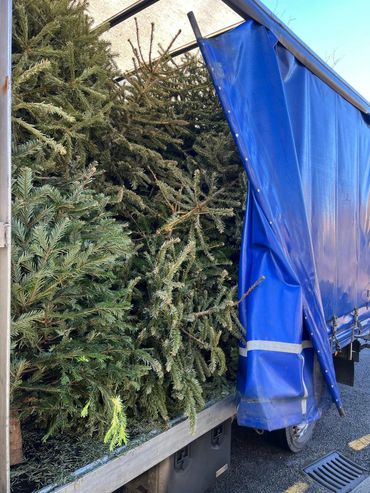 Gallery | REM Transport Ltd