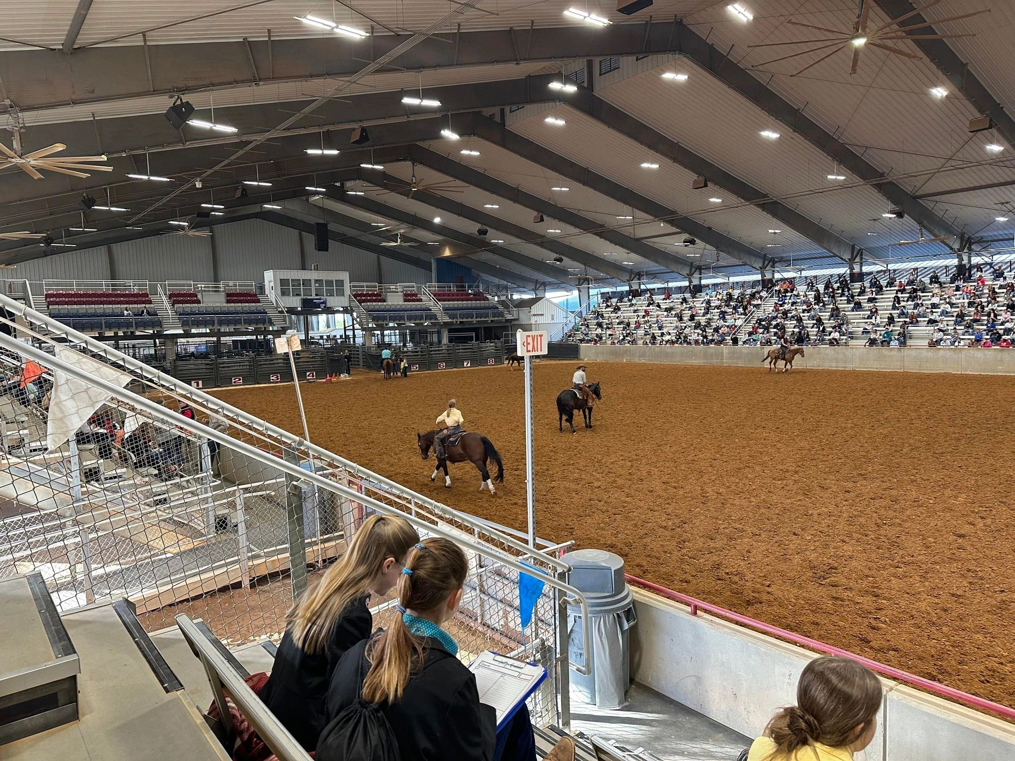 Horse Judging Resources
