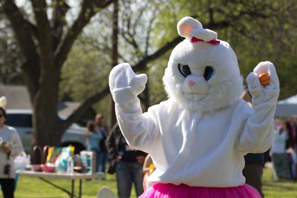 Community Gallery | Newark Texas