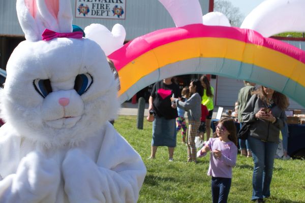 Community Gallery | Newark Texas