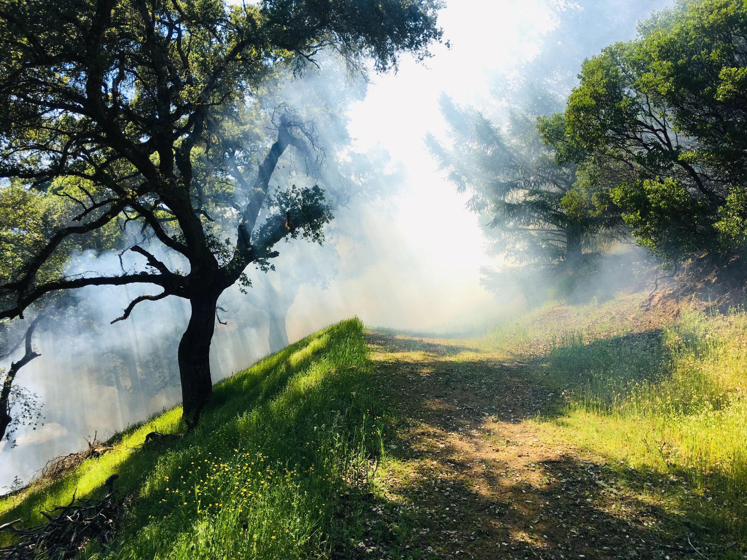 PHOTO GALLERY | Firescape