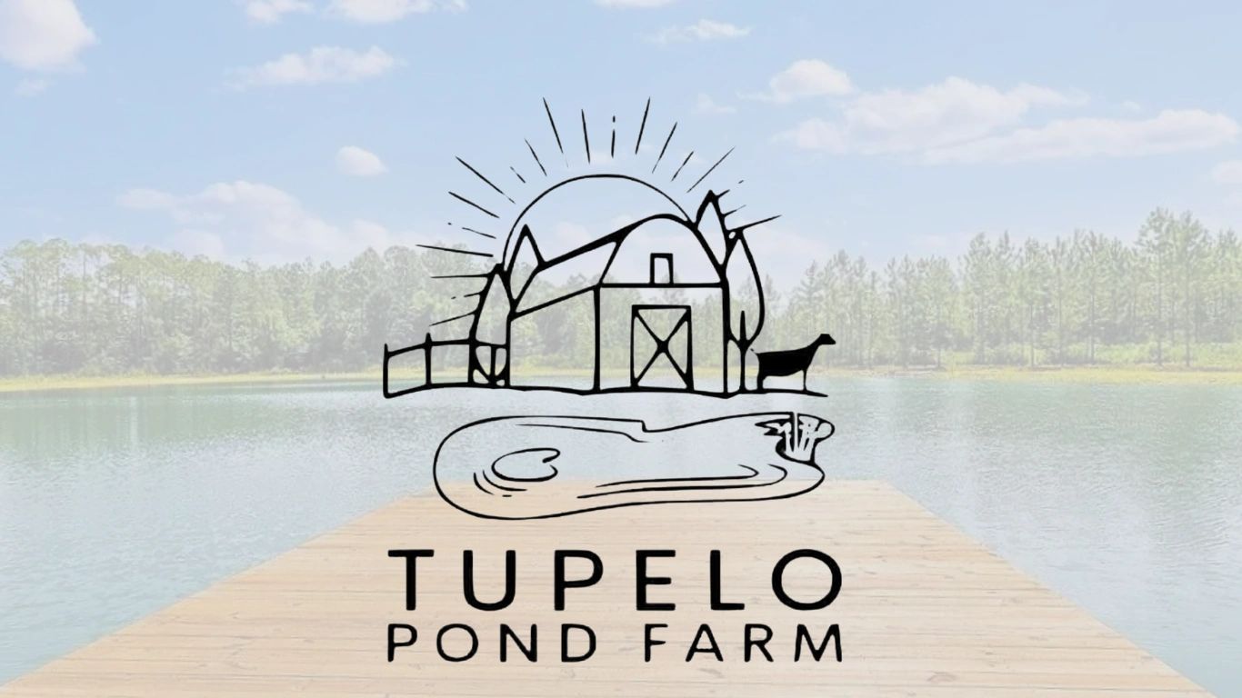 Tupelo Pond: Your Nigerian Dwarf Goat Farm