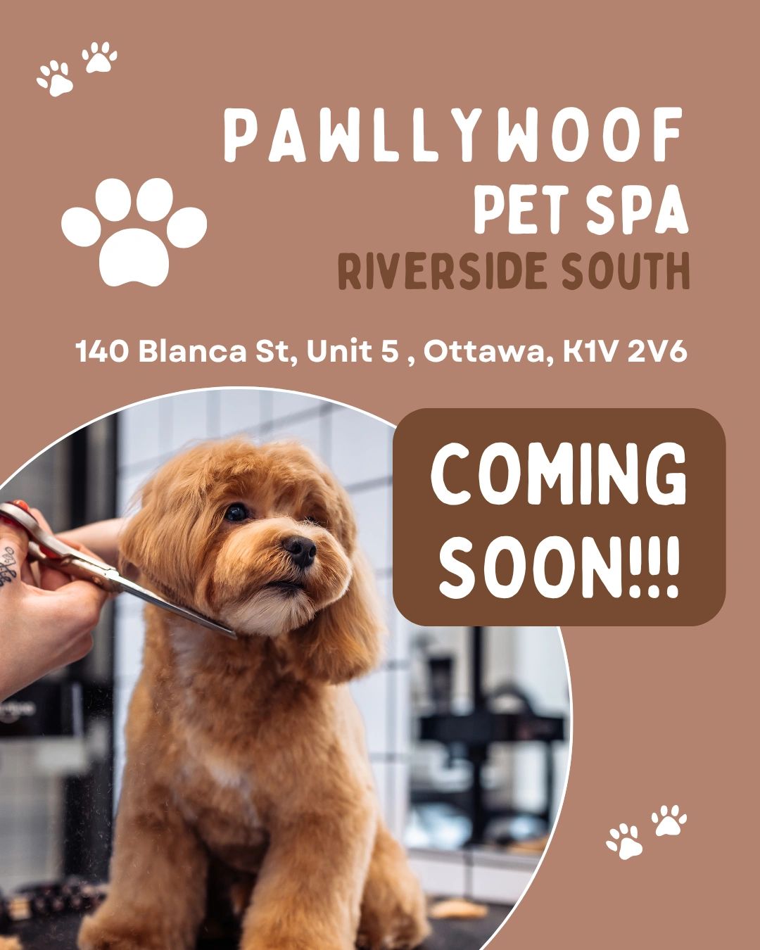 Dog Grooming Package | Pawllywoof