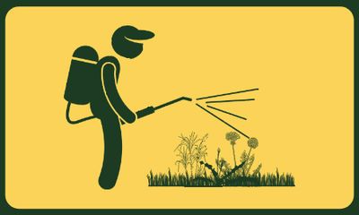 Veteran Lawn Services - Weed Control - Council Bluffs, Iowa