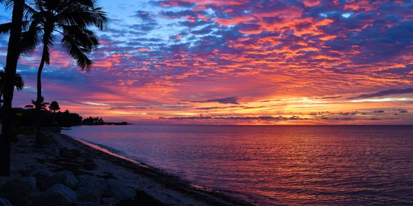 Best Fishing Charters - Purple Heron Charters